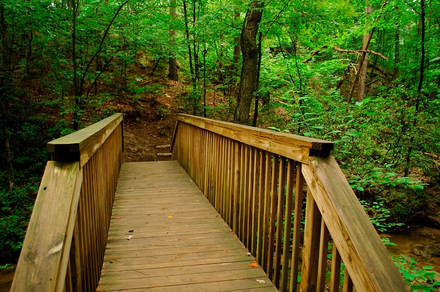 One State, Two Boys: Moss Rock Preserve - Hoover, Alabama - July 15, 2011