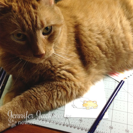 Newton's Nook Designs: Dryer Sheet Tutorial with Newton