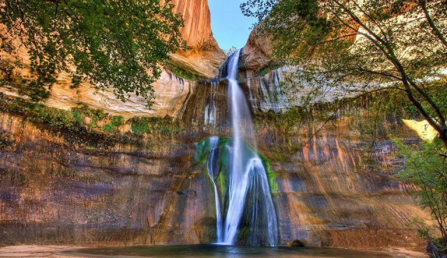 Dobriša Cesarić - SLAP