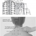 Acupuncture: SI - 15 (SMALL INTESTINE - 15)