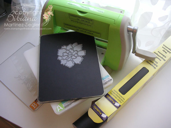 Stamping with Bibiana: Tip Of The Week...Magnetic "C" Plate for your ...