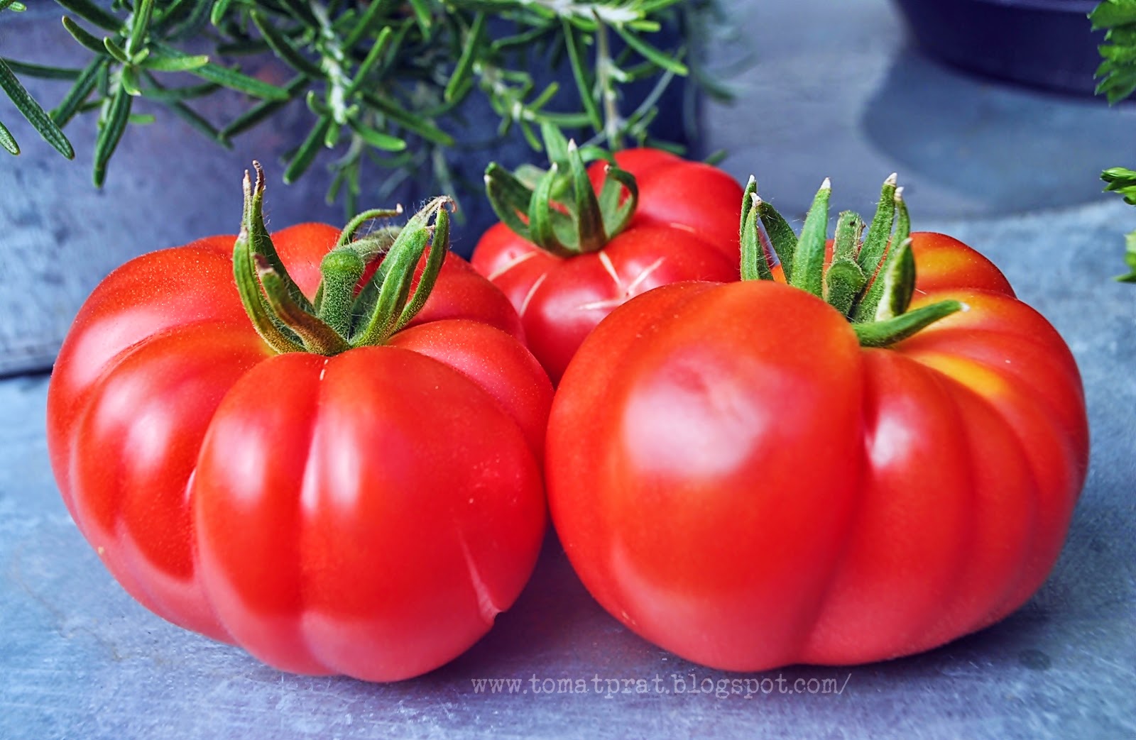 Talkin' Tomatoes with Helene: Oxheart Tomato