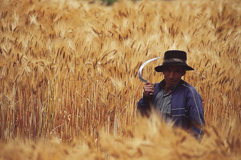 COMUNIDADES CAMPESINAS DEL PERU