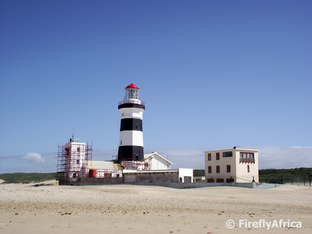Port Elizabeth Daily Photo: Lighthouse renovation