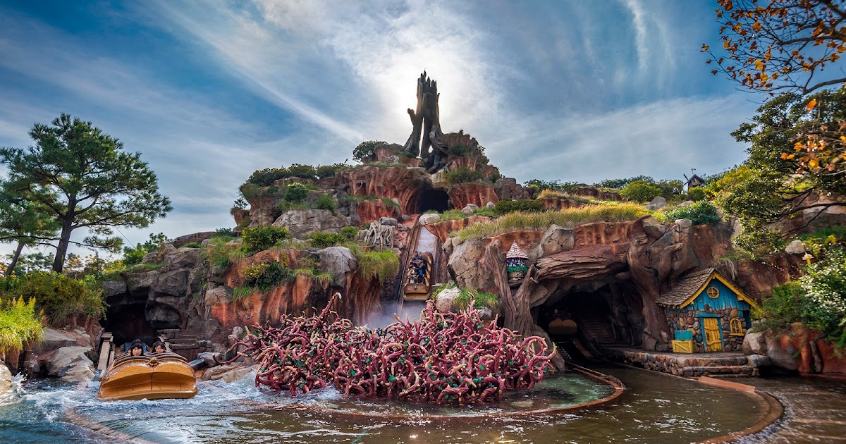 Down into the Briar Patch