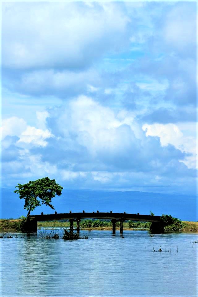 Ratargul swamp forest - History and Travel-world heritage BD