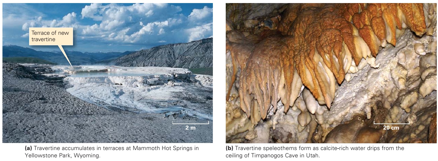 Learning Geology: Classes of sedimentary rocks