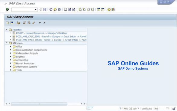 SAP Logging onto SAP System | SAP Online Guides