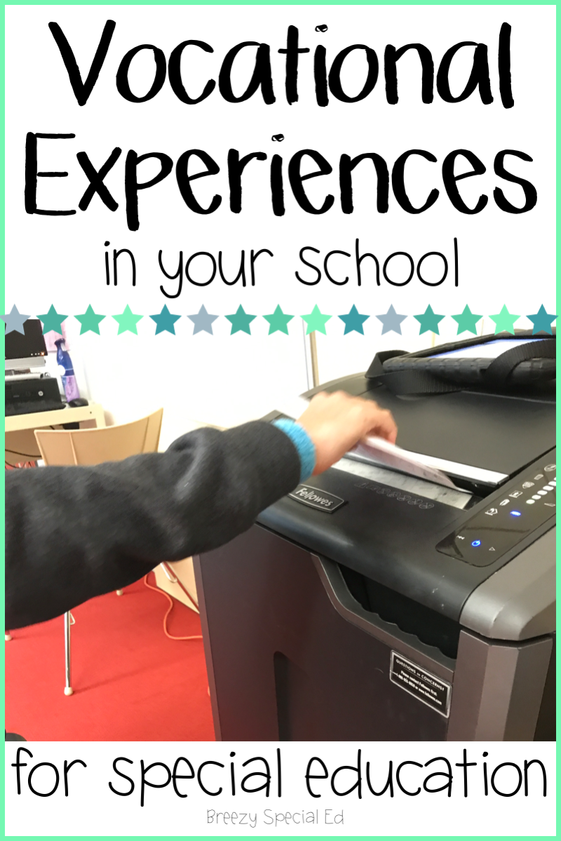 Classroom Jobs + School Vocational Experiences - Breezy Special Ed