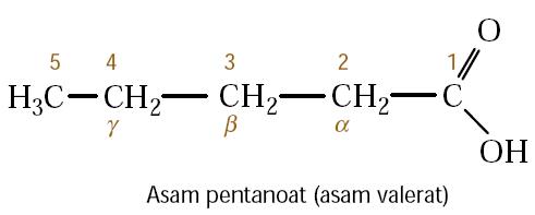 Pengertian Asam Karboksilat, Sifat, Kegunaan, Isomer, Dampak, Bahaya ...