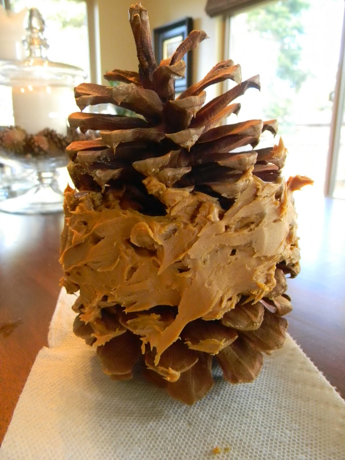 DIY:: Pine Cone Bird Feeder | Schue Love