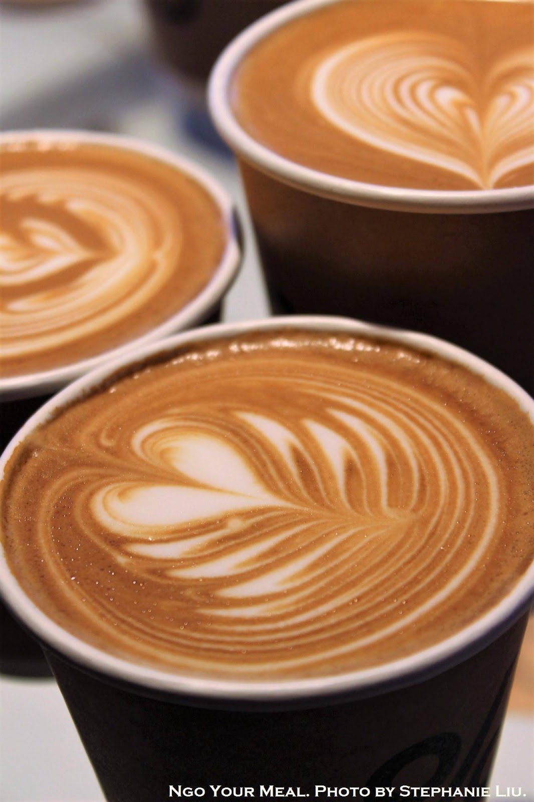 Arabica Coffee Japan at Adam Goudeau blog