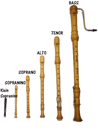 Amazing Recorder: Picture