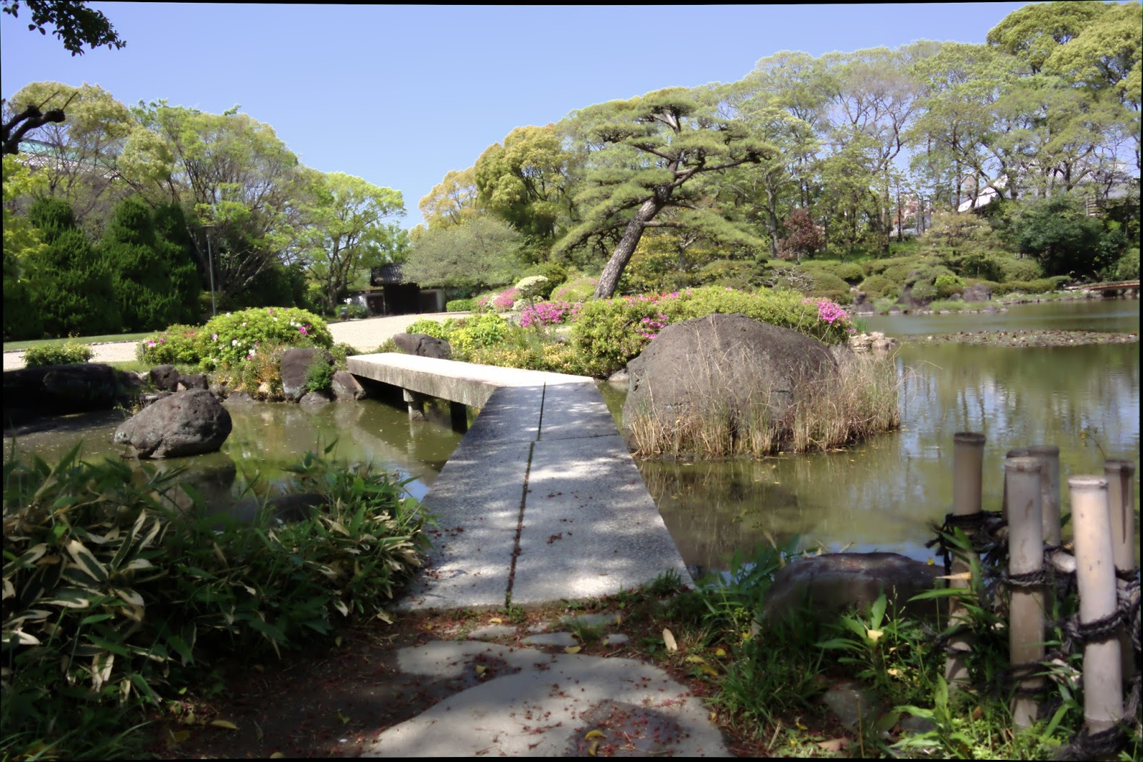 Domo World Japan Tour