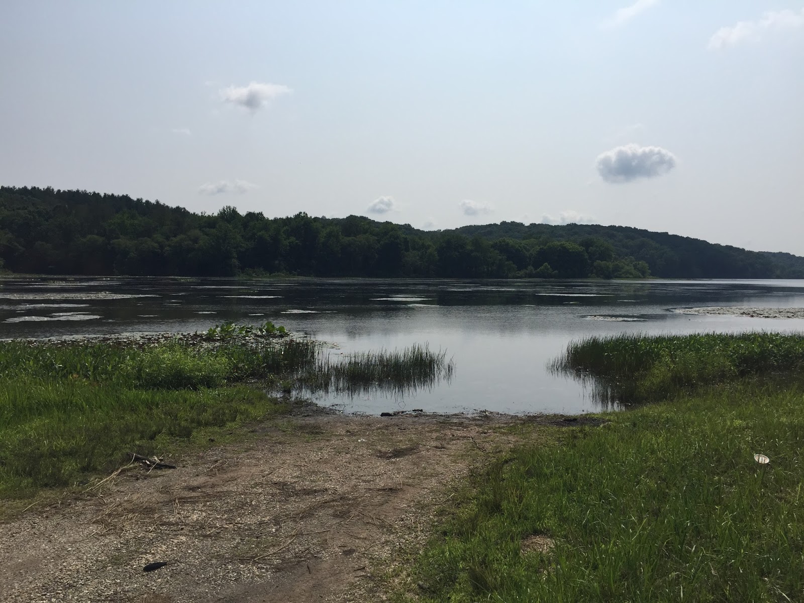 Kayaking Across Ohio: Lake Rupert: Damselflies' Playground