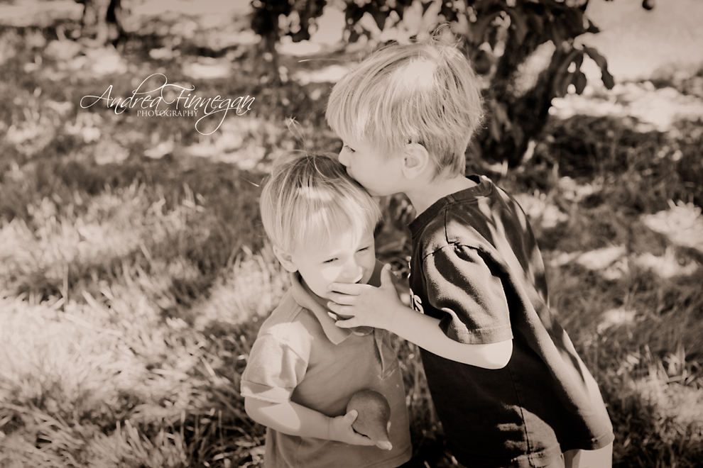 Andrea Finnegan Photography