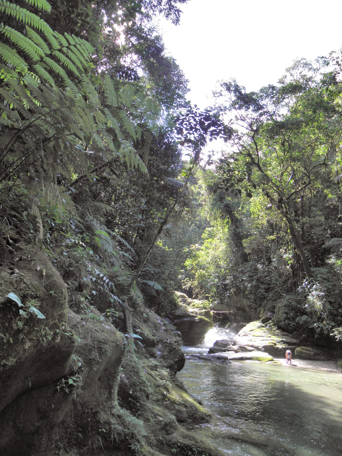 Ecuador Joannan silmin - Ecuador in my eyes: The Perfect Jungle Spot ...
