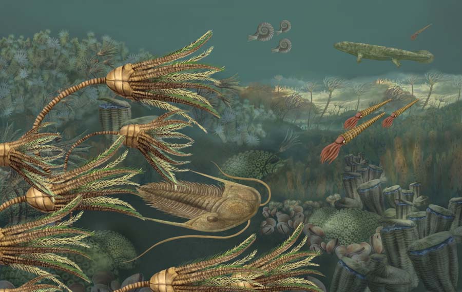 Paleontología en Colombia: Bogotacrinus scheibei, un crinoideo del ...