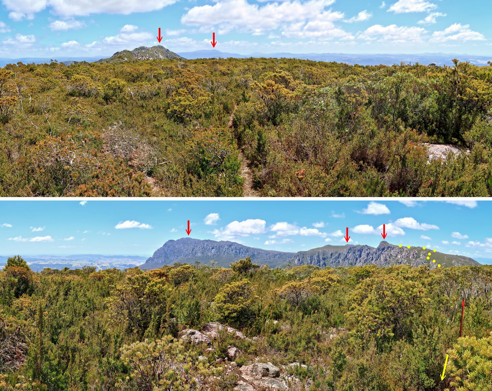 Mountains: Mt Roland, Mt Vandyke, Mt Claude Lookout, Tas, Australia
