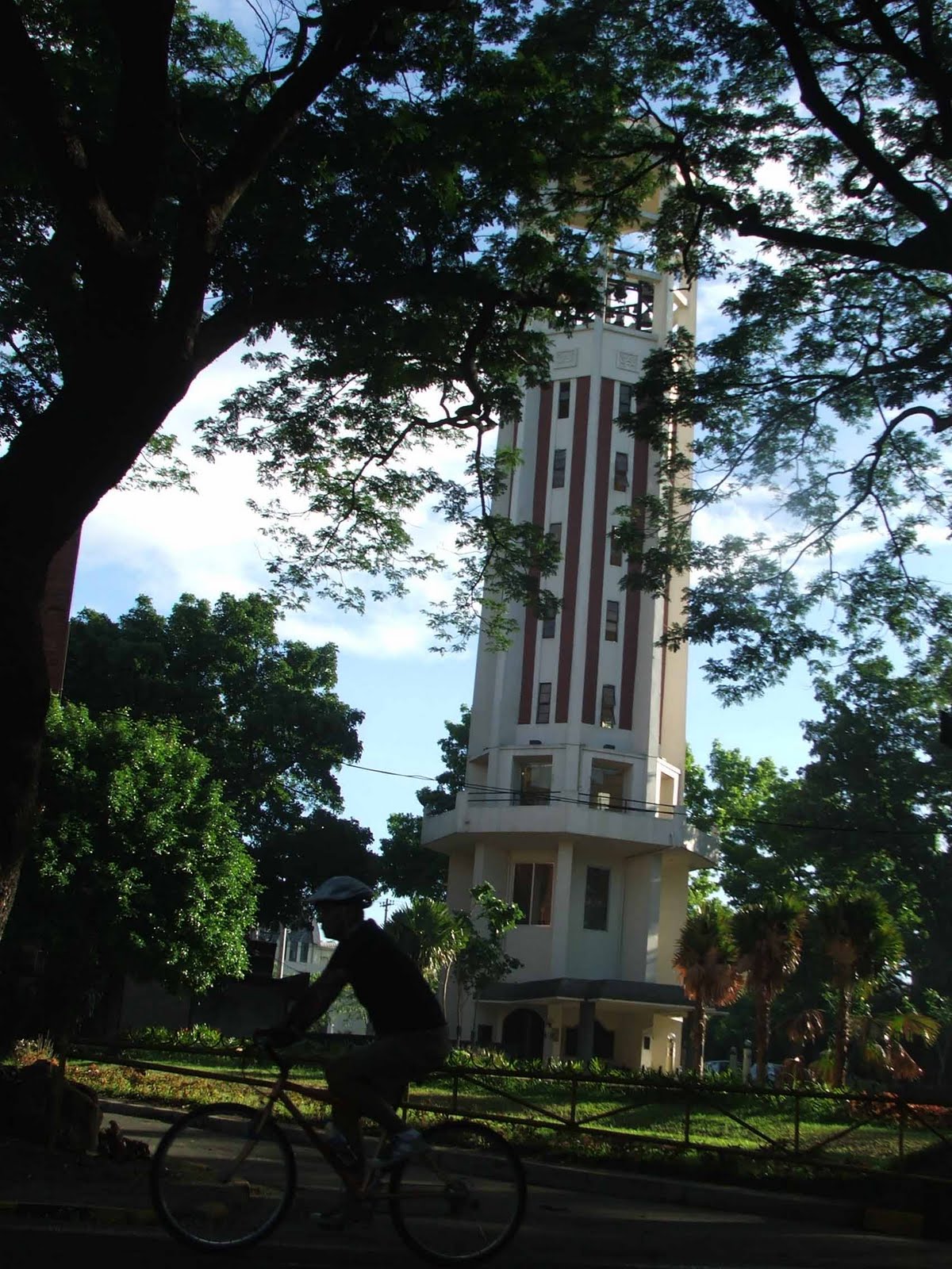 A Dog Among Us: The University of the Philippines in Summer