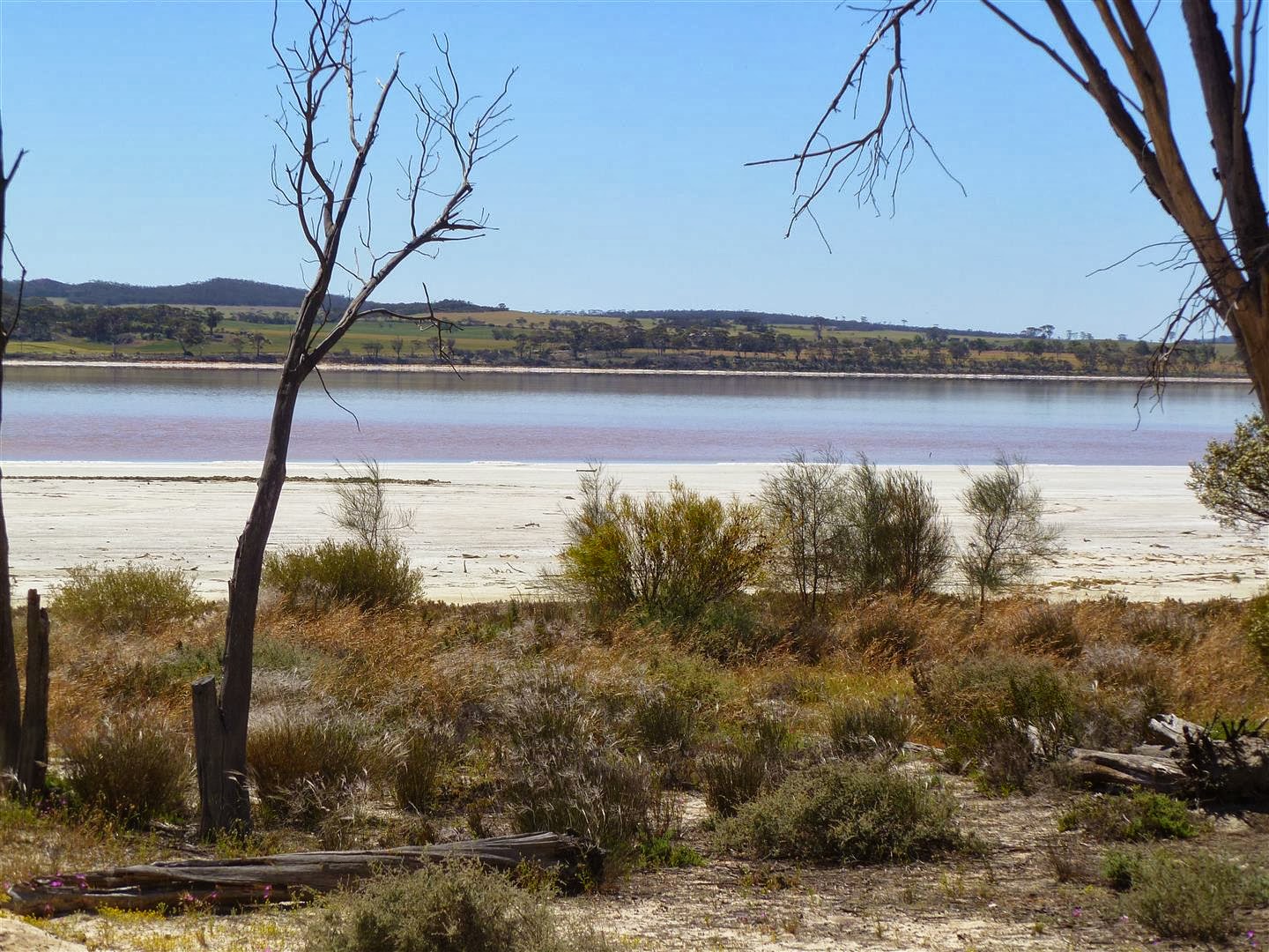 This and That, Here and There: Skywatch at Lake Ninan