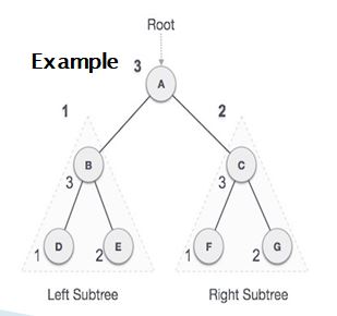E-Knowledge Point: What is Tree Traversals (Inorder, Preorder and Post ...