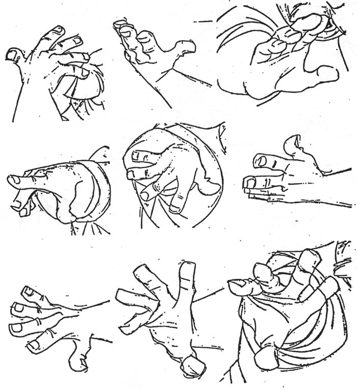 Anime Hand Poses