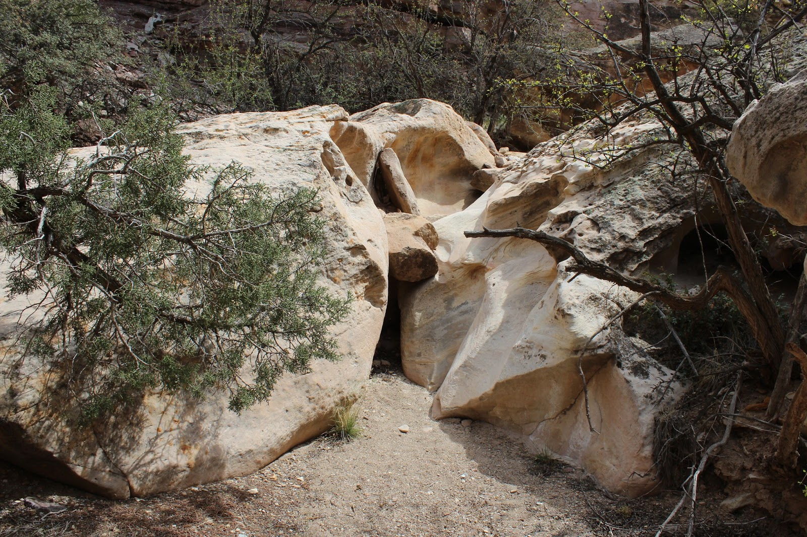 gjhikes.com: Cool Rock Canyon