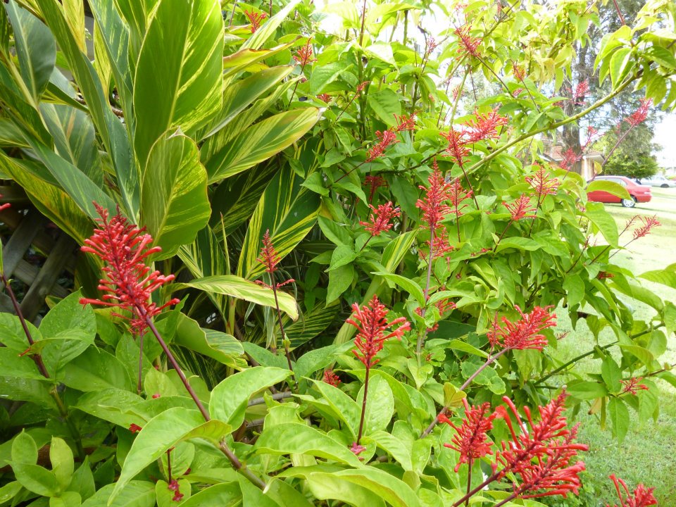 Photography with Dr. Ernie.: July 2012