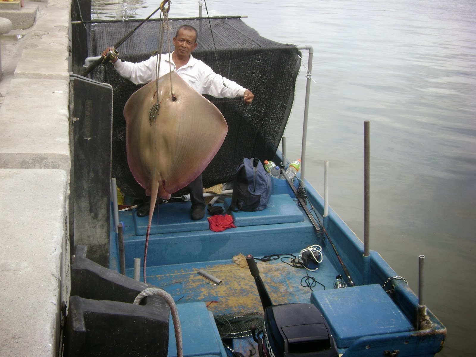 SewaBotPancing: Sewa Bot Pancing