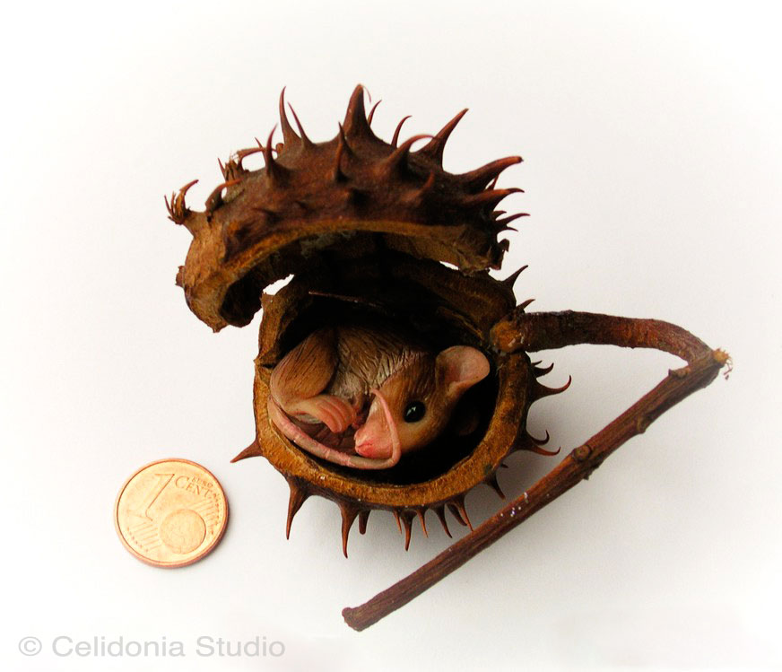 Celidonia Studio en: Little Creatures