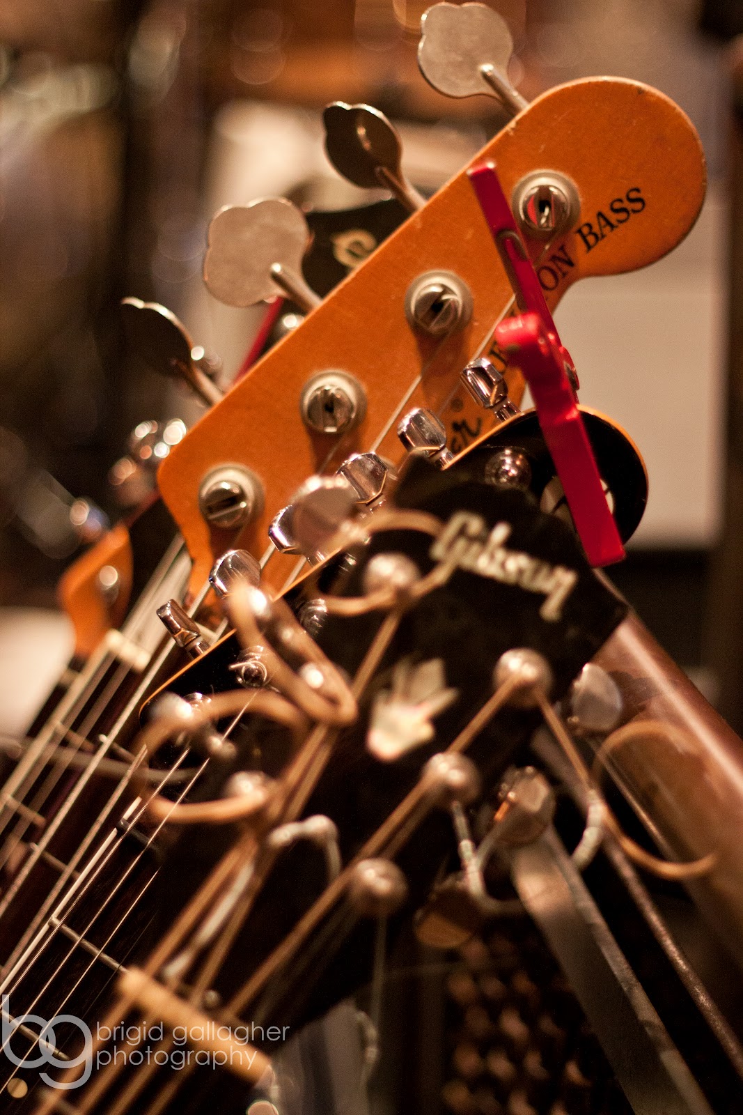 Perspectives, like horizons, change.: Lollapalooza Week: Boyd Tinsley ...