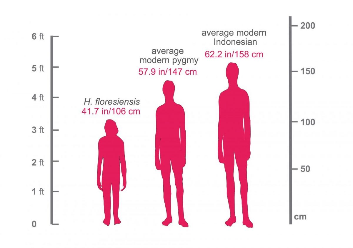 Insular Dwarfism and Gigantism
