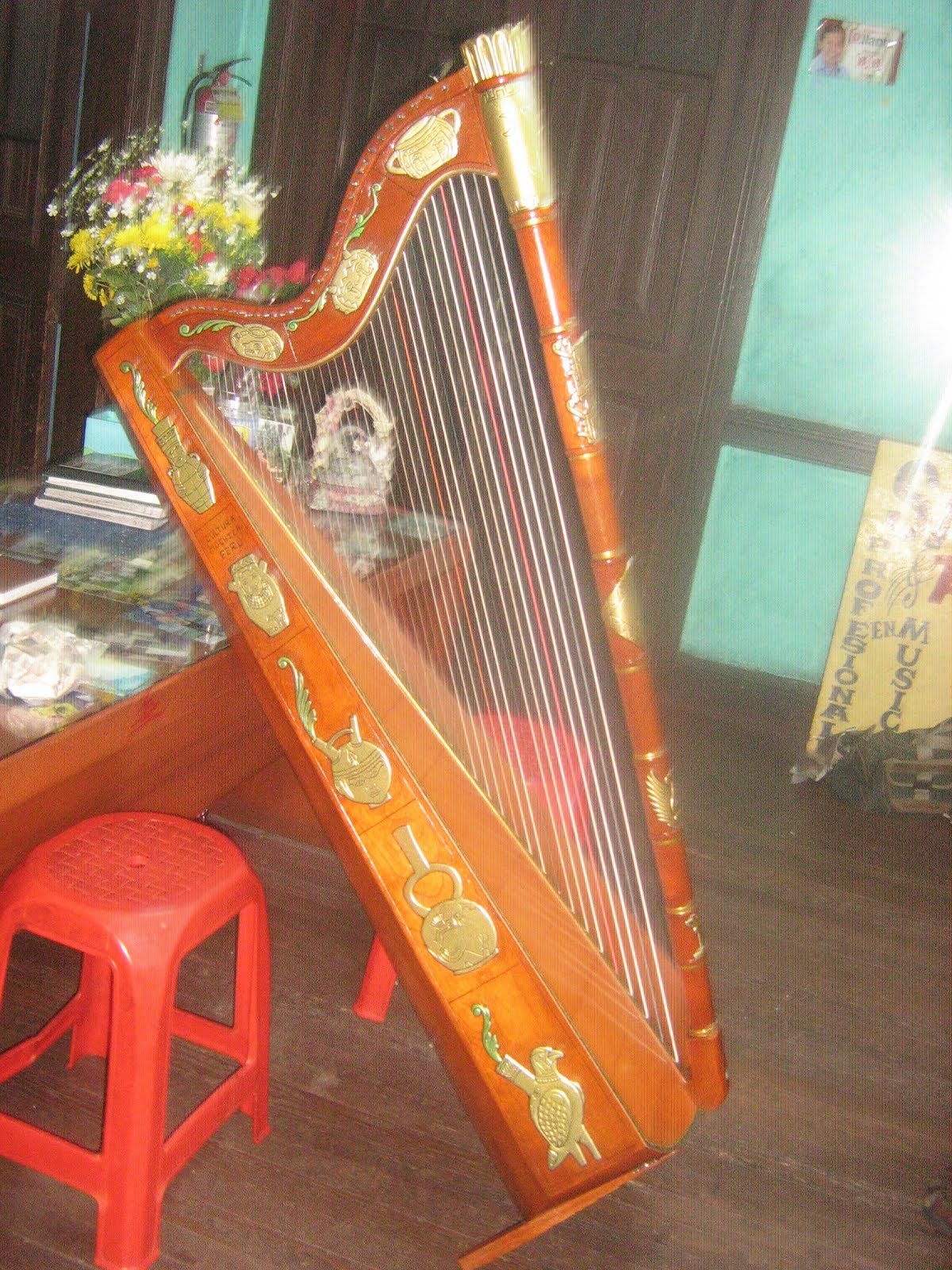 ARPAS PERUANAS: enero 2009