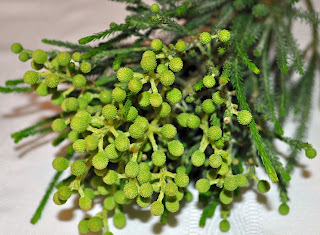 A Passion for Flowers: Berzelia – Texture for the Senses