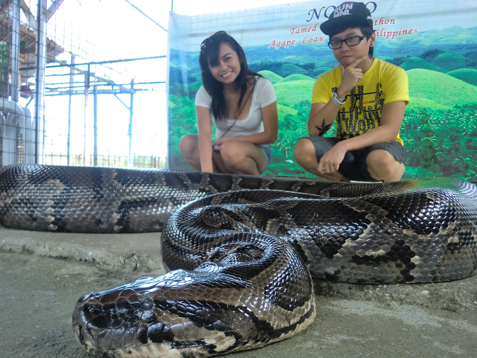 a month of sundays: Bohol