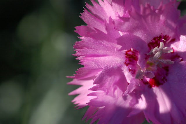 A Thousand Times Over