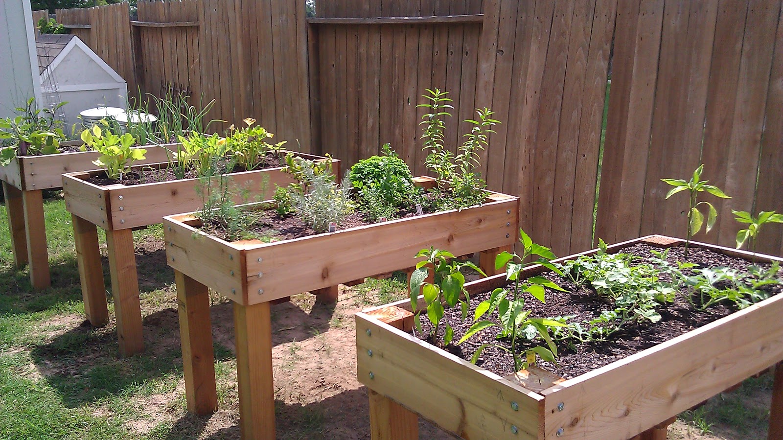 She's just a girl who creates...: Build your own counter height garden box.