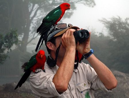 DIARIO DE UN NATURALISTA por Víctor J. Hernández: Grandes verdades ...