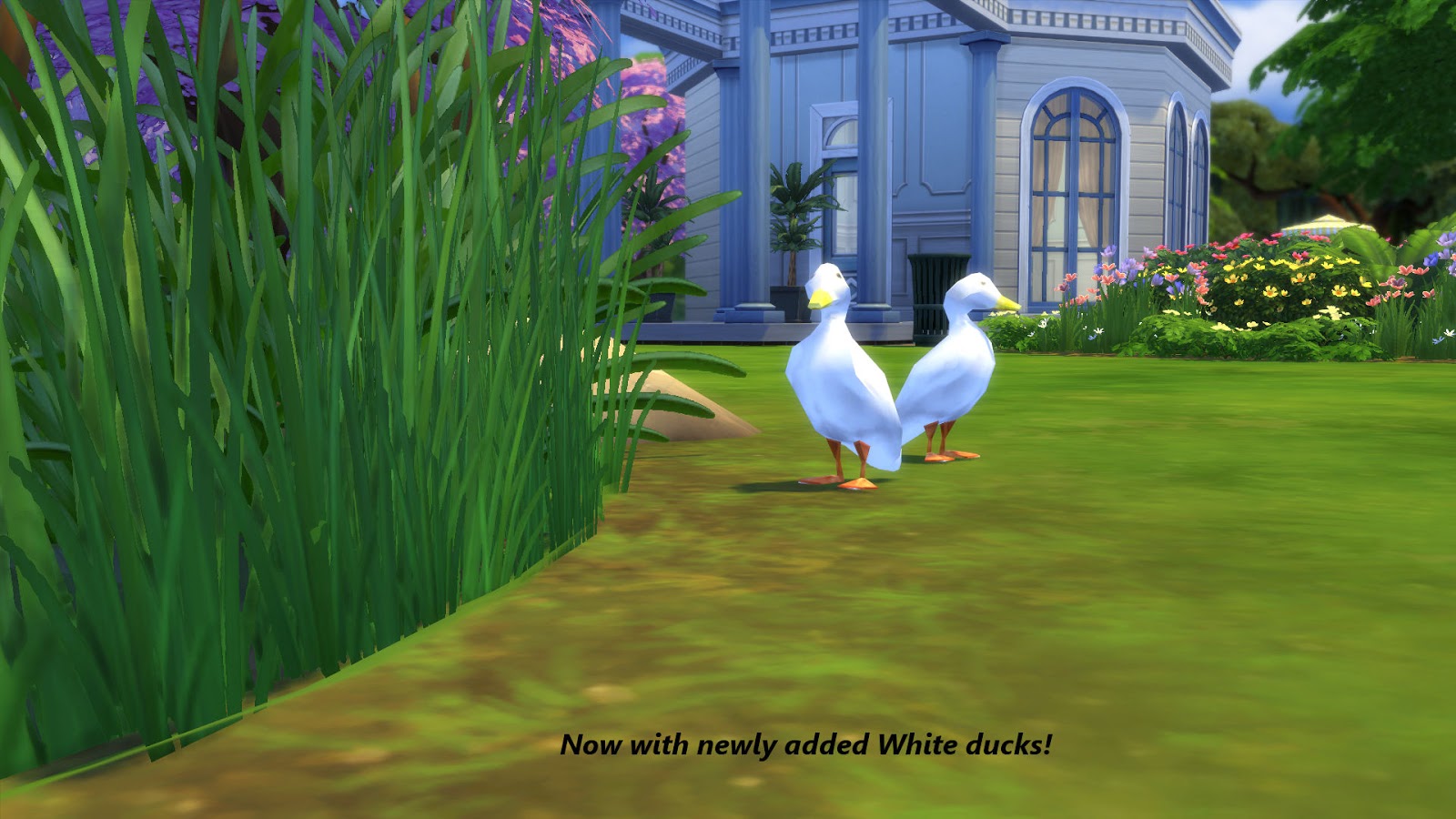 Sims 4 CC's - The Best: Free the Ducks! by Snowhaze