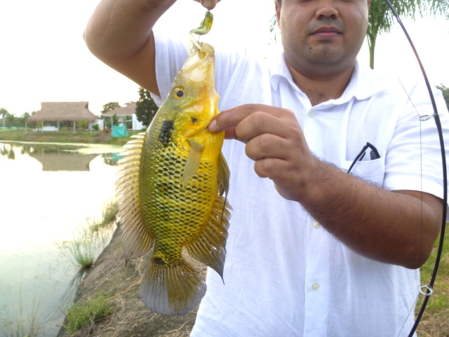 La Pesca Deportiva en Colombia Recreational Fishing: LA PESCA DE ...