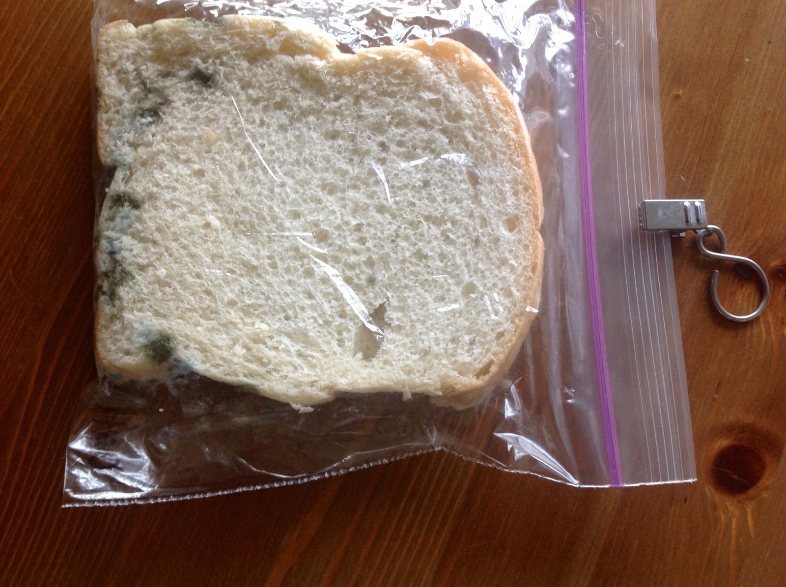 More Mom Time: Our preservation and decay experiment