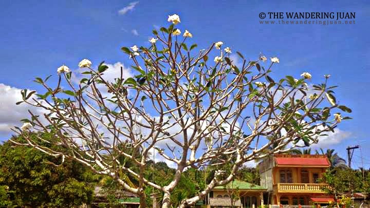 Kikay in Wonderland : DID YOU KNOW THAT?