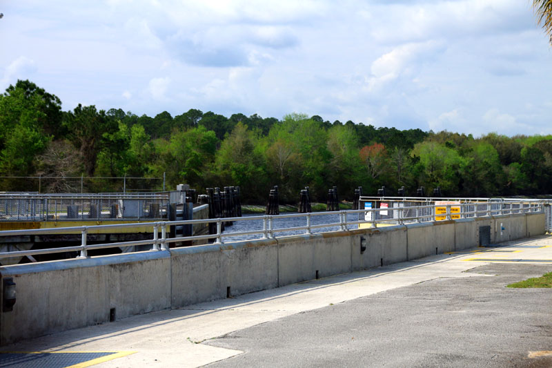 OFFWEGO!: A Week at Florida's Rodman Reservoir Campground