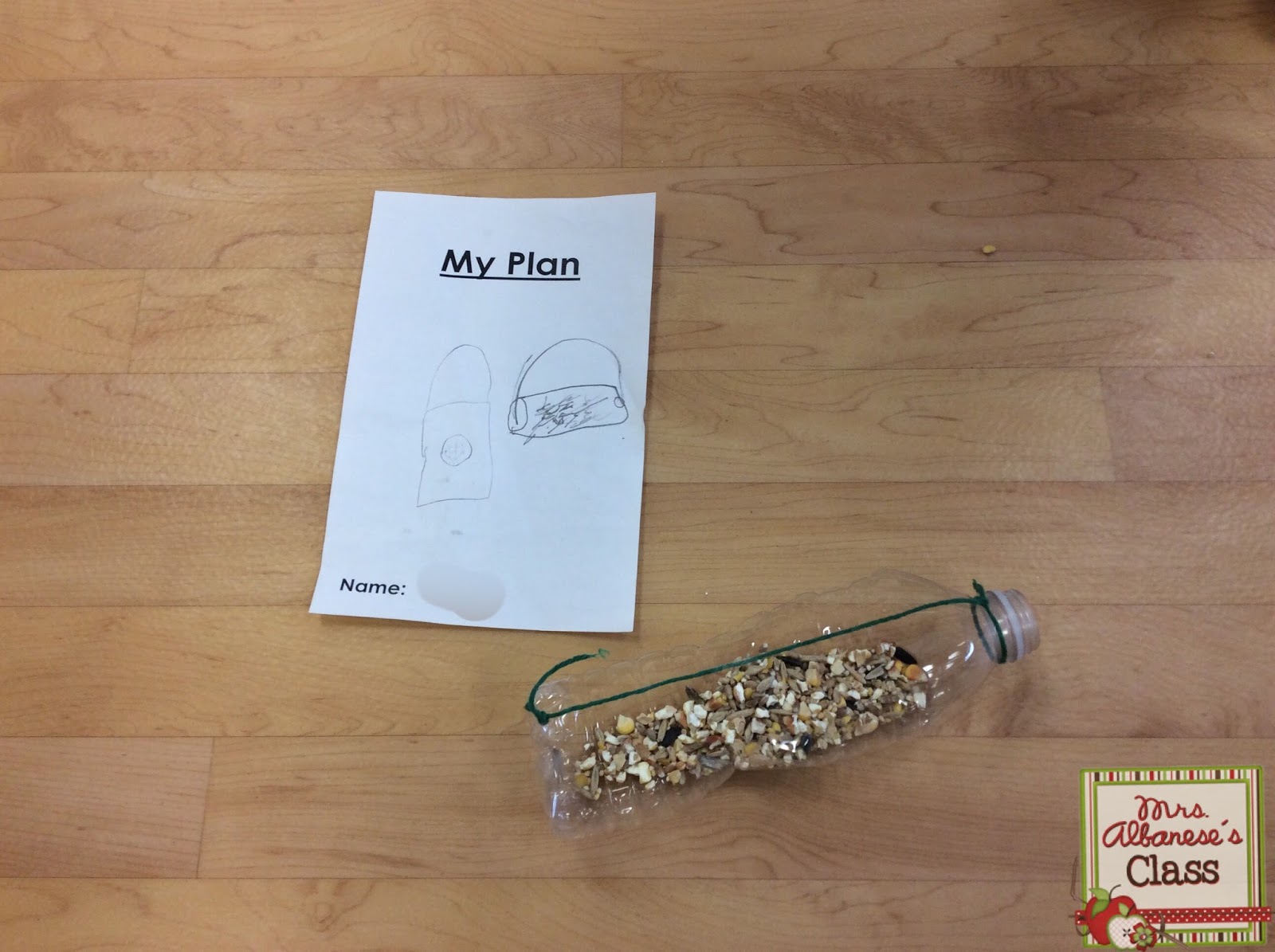 Our Bird Inquiry | Mrs. Albanese's Kindergarten Class