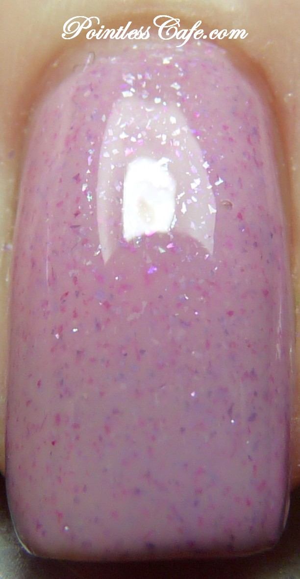 Dandy Nails Flamingo Kisses | Pointless Cafe