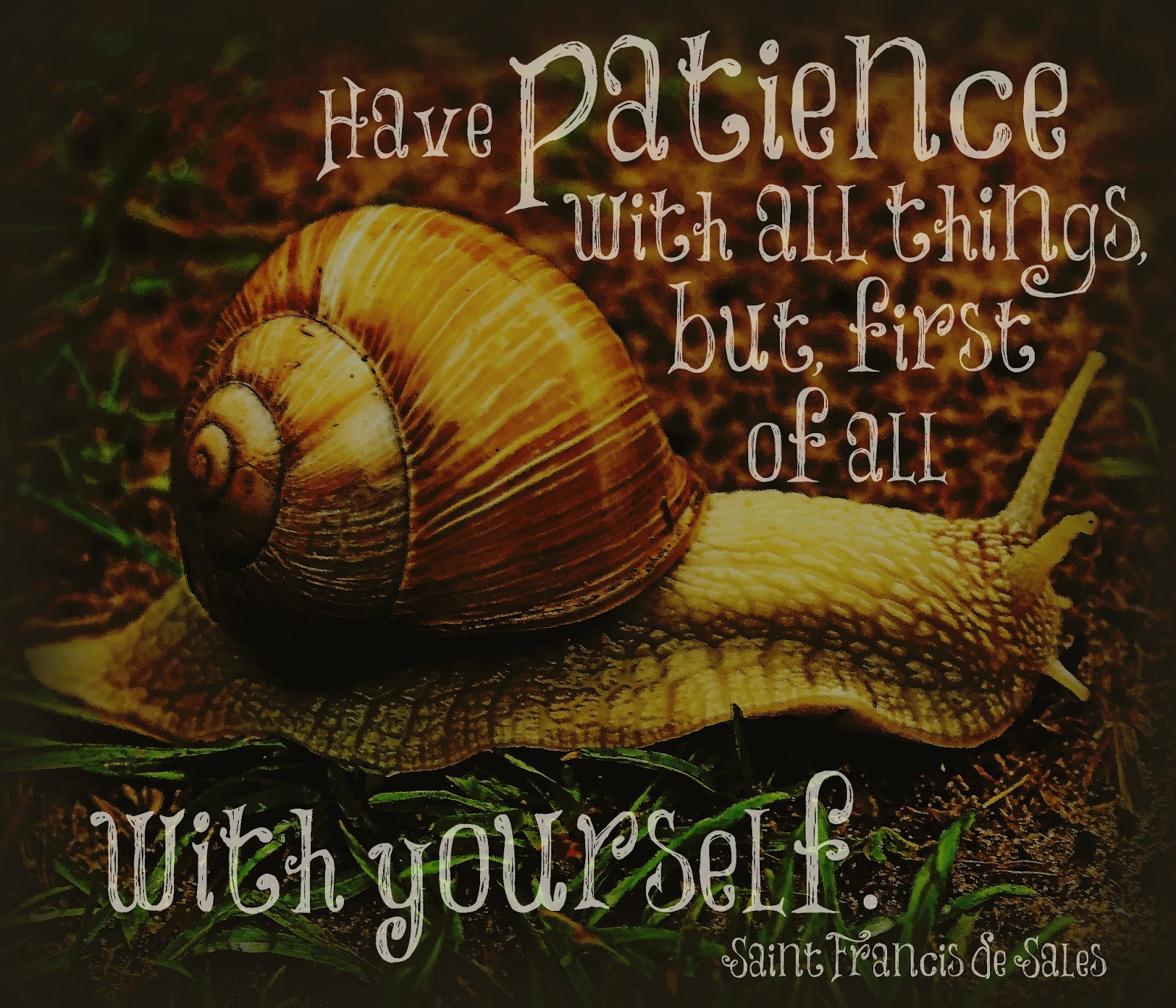 Patience pays off. – Karlee Porter