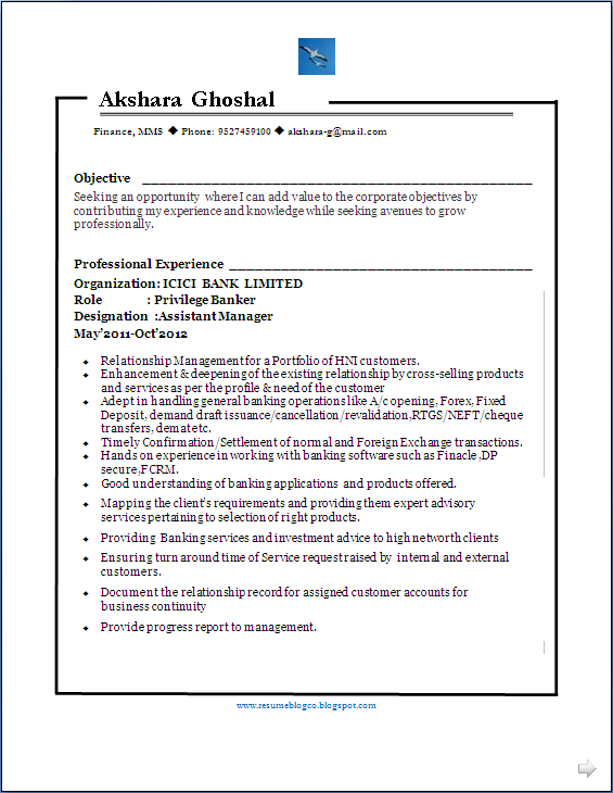 Better Resume Sample: MBA (FIN) & BE Having 6 years Good Experience in ...