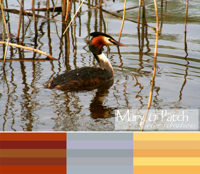 janvier 2013 | Mary & Patch