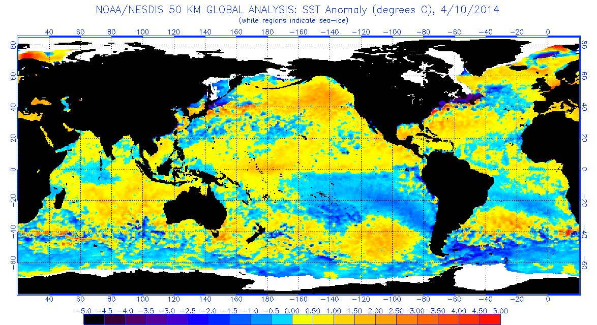 The Humboldt Current System: NOAA Nesdis (50 km) Global Analysis - El ...